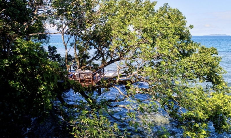 Fiji | Onanta Forbes